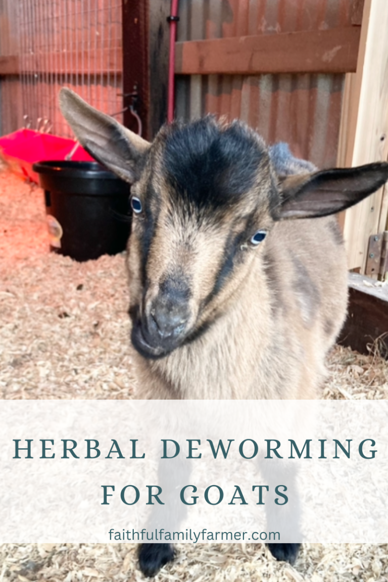 Herbal Dewormer Recipes For Goats (Natural Farming) - Faithful Family ...